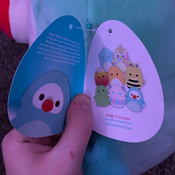 Squishmallows | Toys | 2 Shoni The Dodo Bird Squishmallow | Poshmark